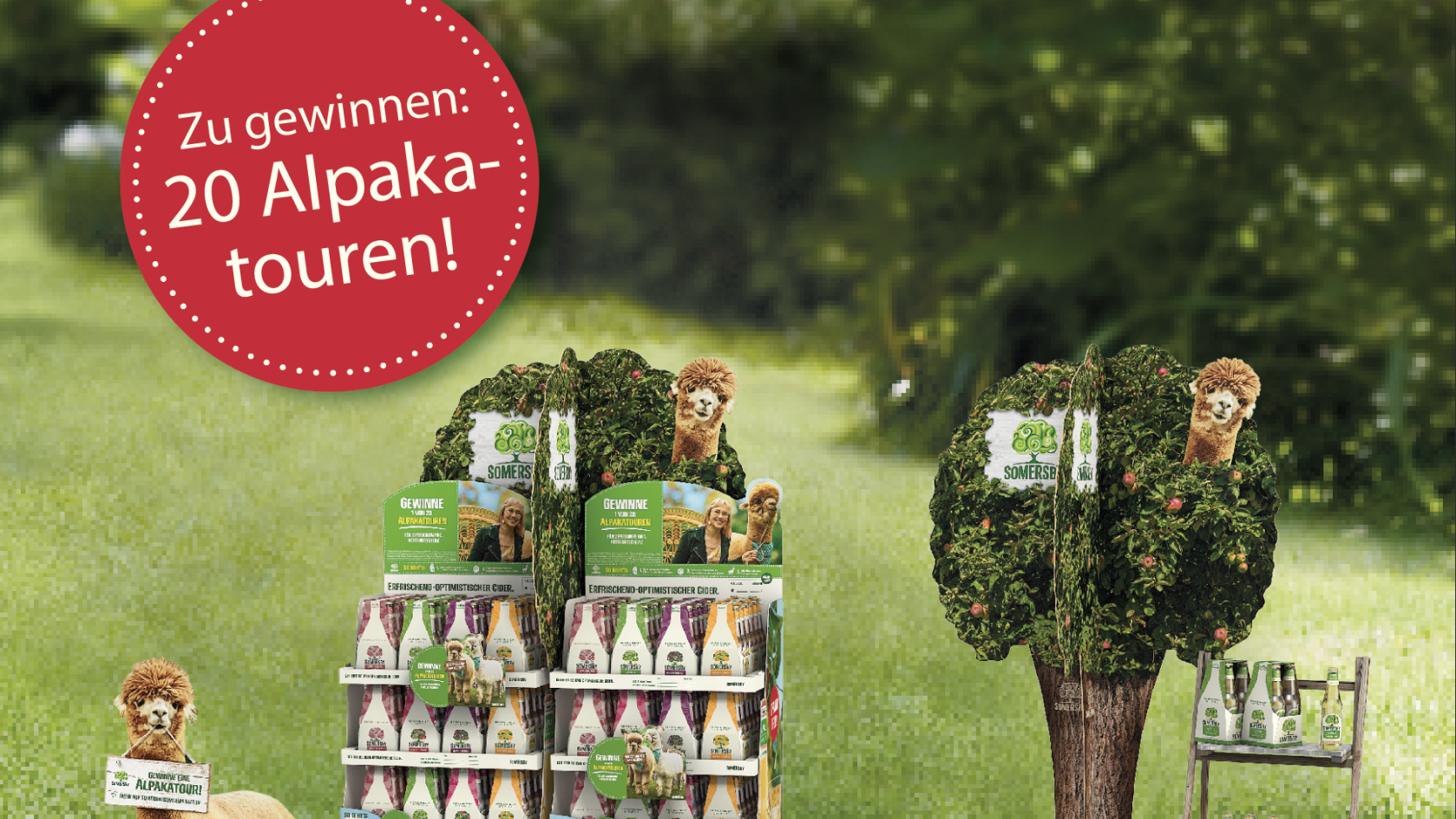 Somersby Verkaufsf rderung STEIN Promotions Somersby Verkaufsf rderung STEIN Promotions